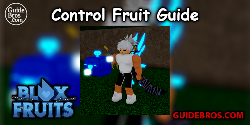 Control Fruit Guide - Blox Fruits